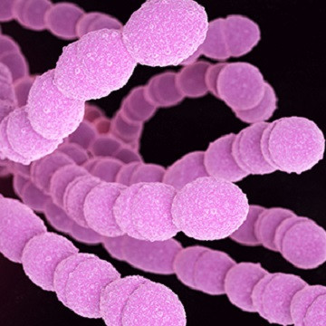 New microscope uses photonics to gain insights into superbugs ...
